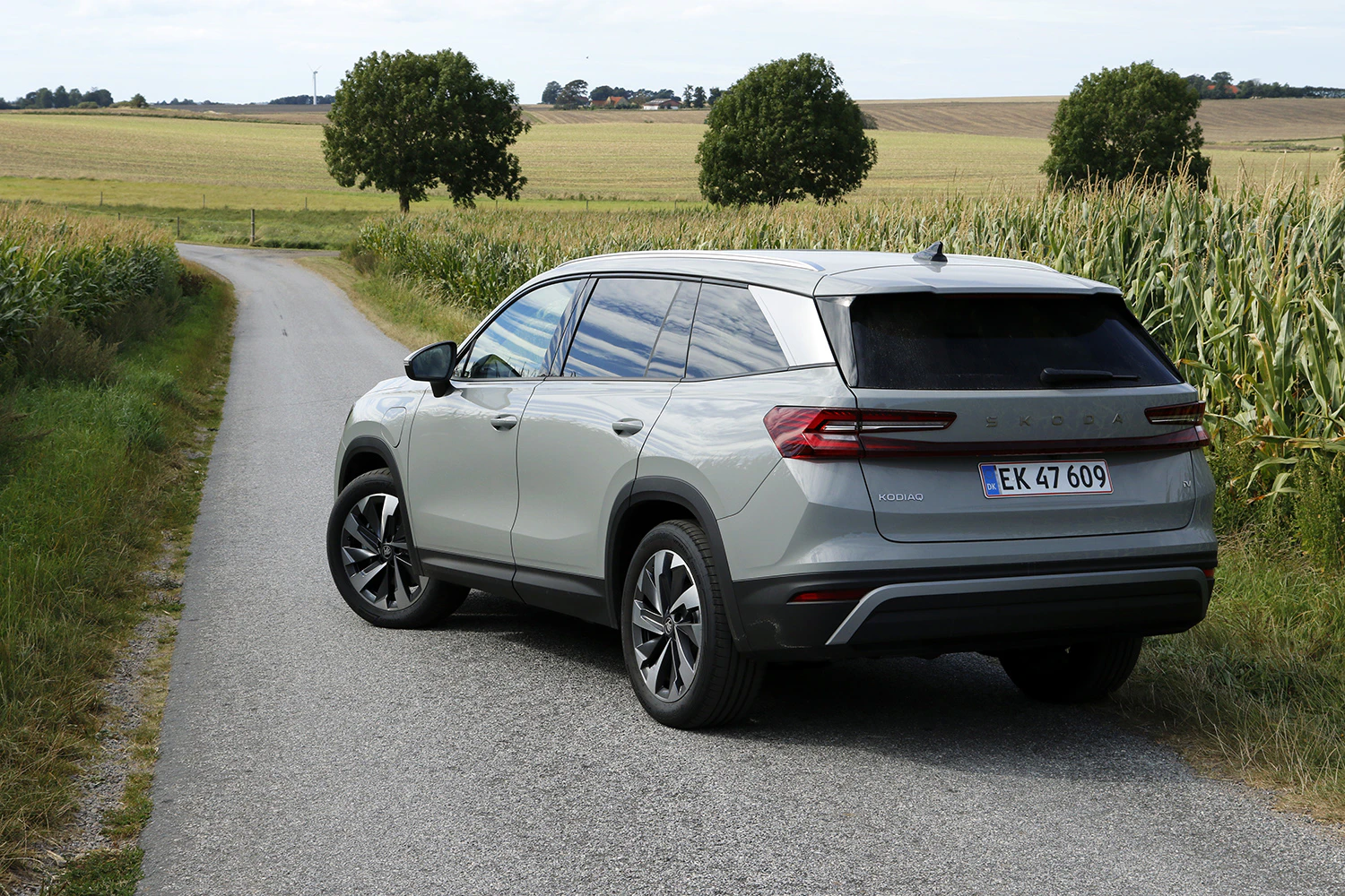 Skoda Scala test: Den tjekkiske hatchback overrasker! | bilmagasinet.dk