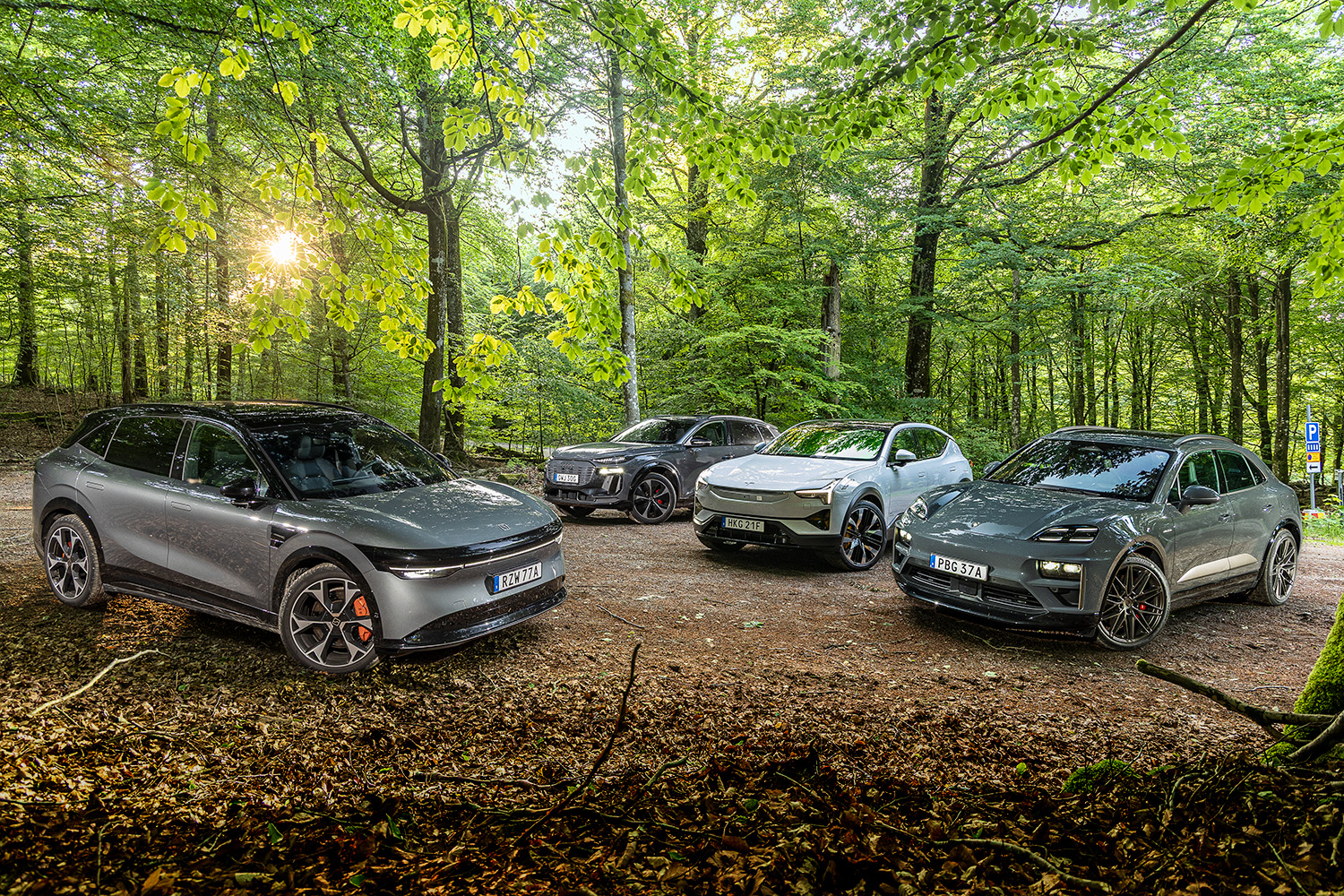 Elbil Revyen 2025: Komplet overblik over det danske marked for elbiler ...