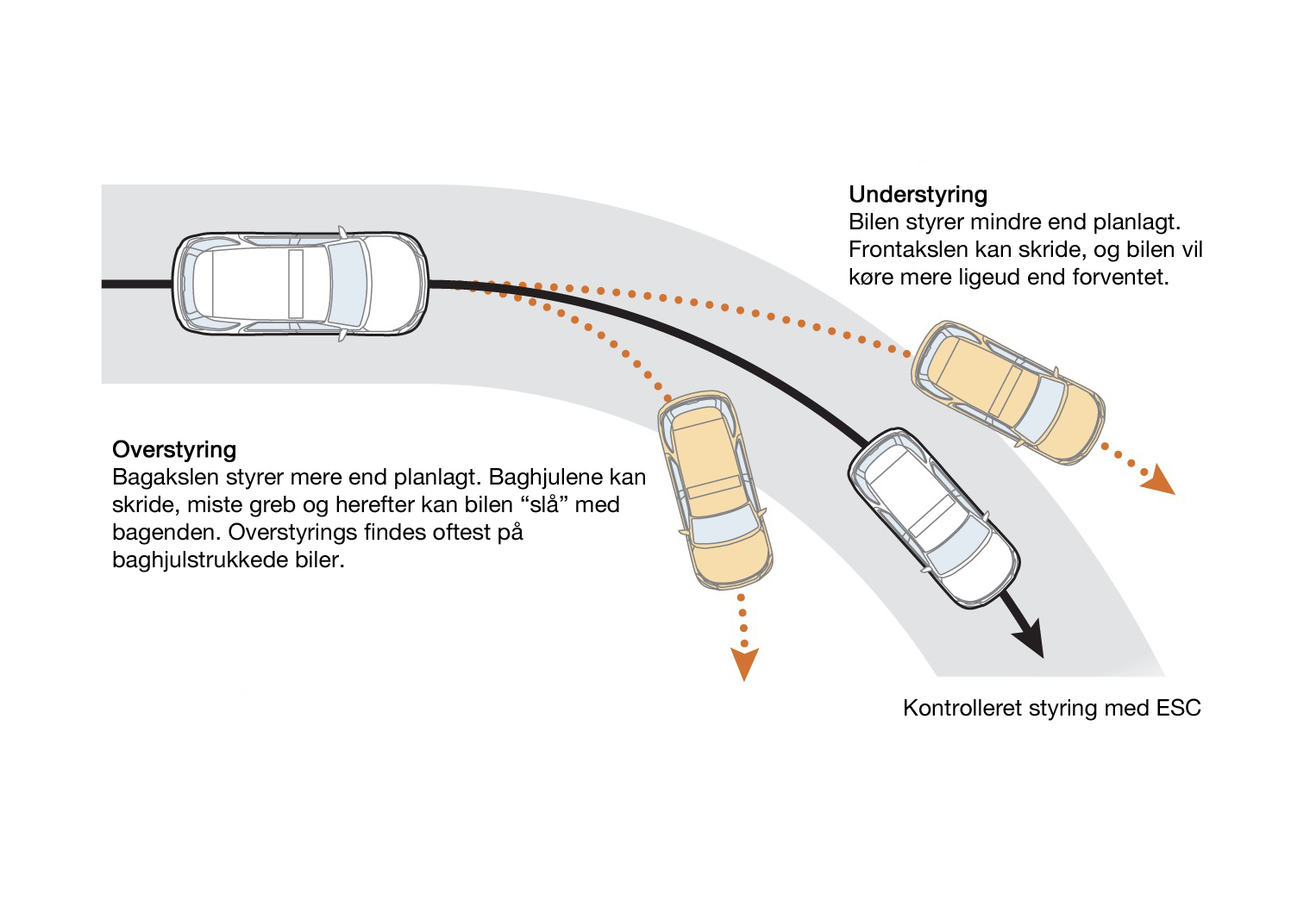 ESC - Electronic Stability Control | bilmagasinet.dk