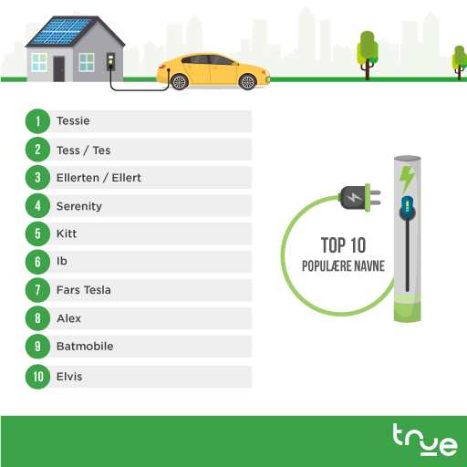 Her er ejernes kælenavne til deres elbiler | bilmagasinet.dk