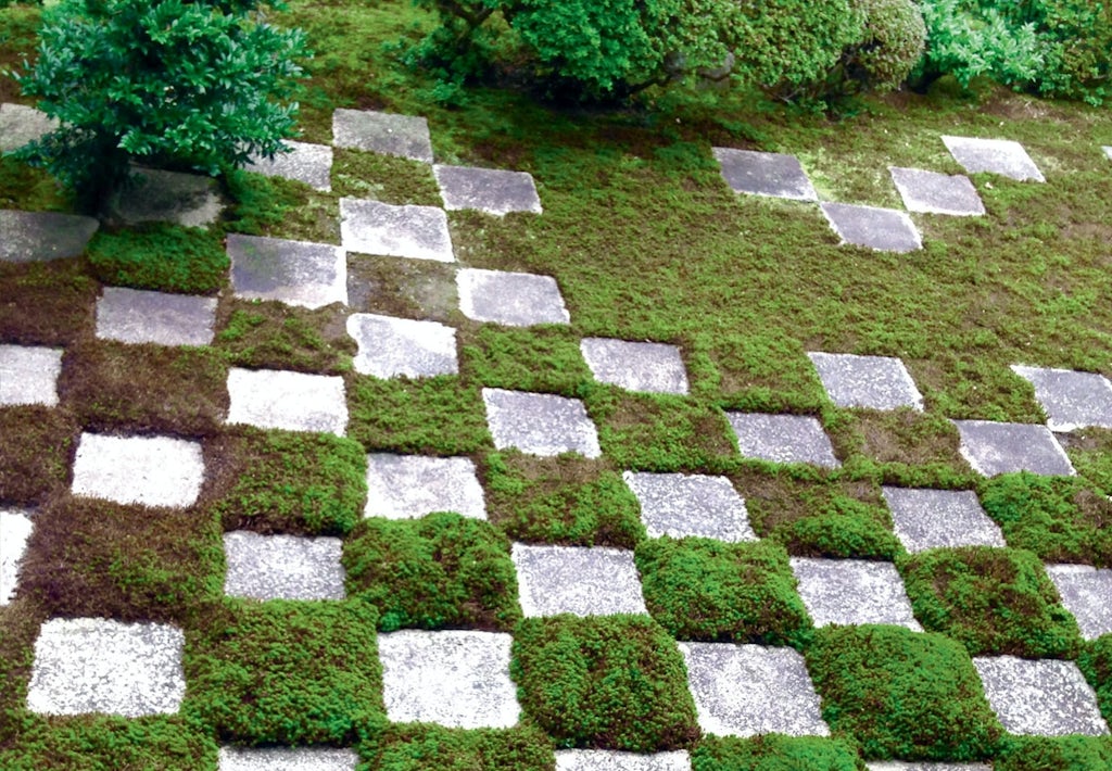 Mos | Sådan får du smuk mos i din have | bobedre.dk