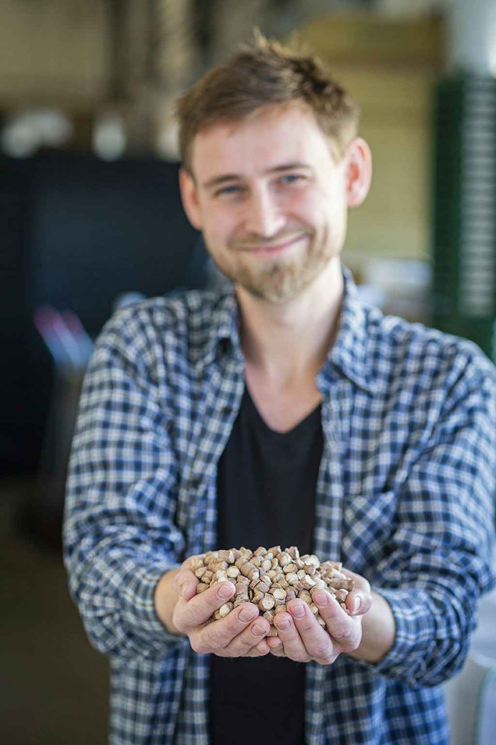 Funga Farm i København producerer klimavenlige svampe | bobedre.dk