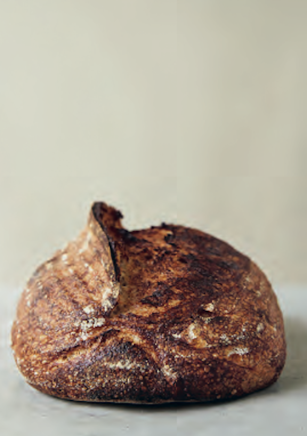 Opskrift fra Meyers: Sådan starter du din egen surdej | bobedre.dk