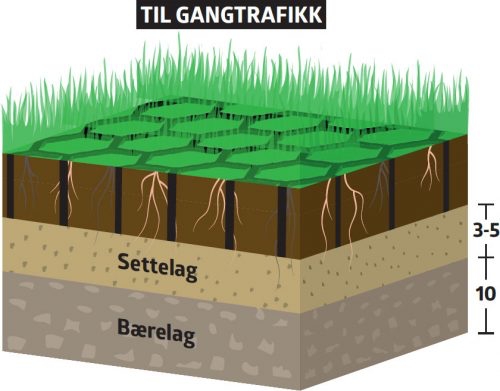 Slitesterk gressplen med gressarmering | Gjør Det Selv