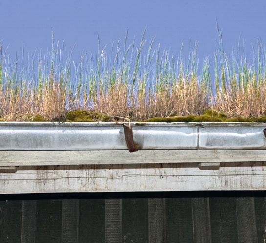 Tagrender: Gør tagrenden klar til regn og sne | goerdetselv.dk
