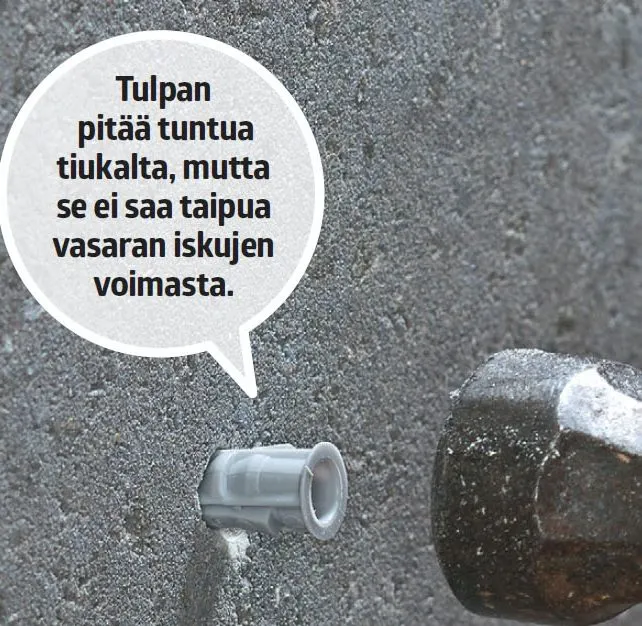 Tulpat jotka kestävät | teeitse.com