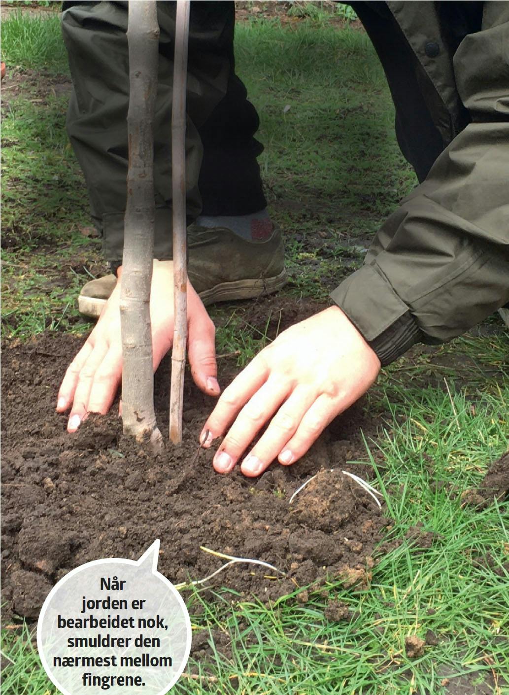 100 tips til hus & hage | gjoerdetselv.com