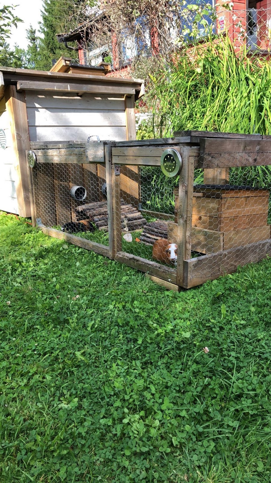 I haven | Idéer, inspiration & billeder | goerdetselv.dk