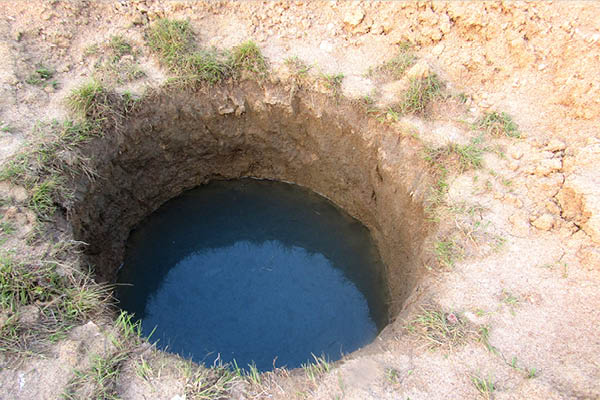 7 tips: Slik unngår du mose i plenen | gjoerdetselv.com