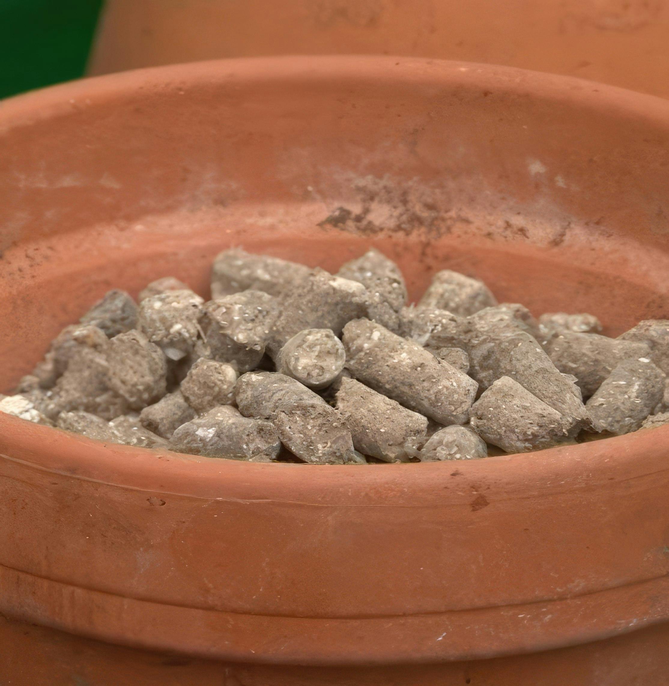 Perennojen lannoitus | teeitse.com