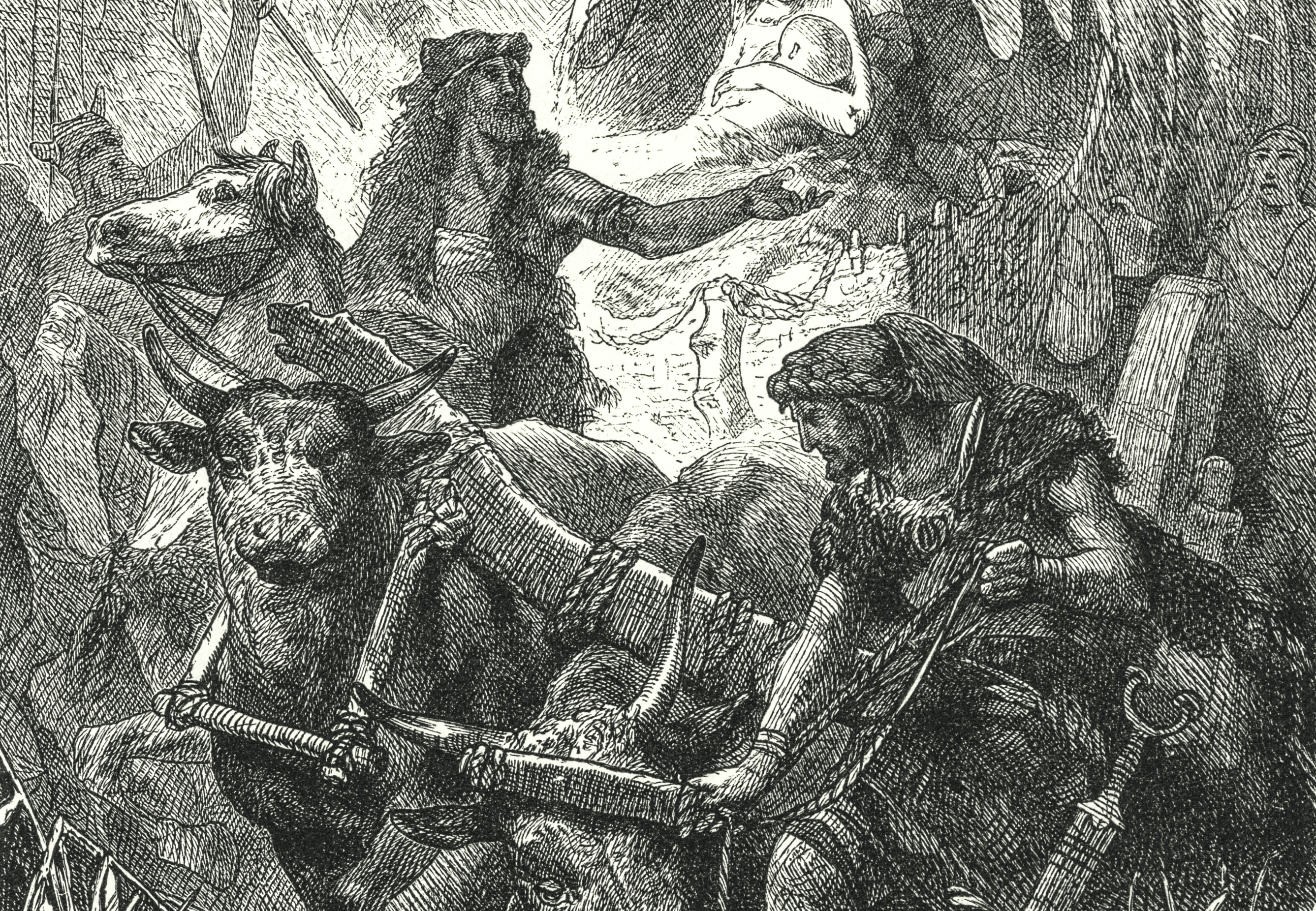 Wie waren de oorspronkelijke ariërs? | historianet.nl