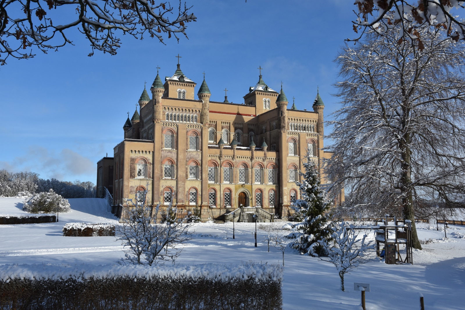 Historien om julgranen bygger på en lögn | varldenshistoria.se