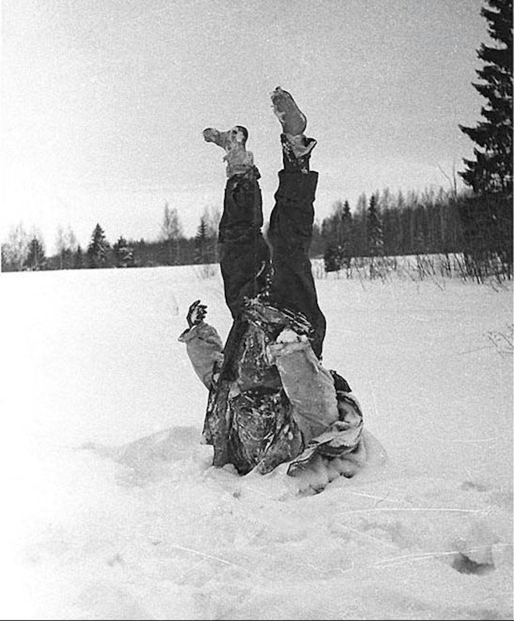 Hitler ville sulte Leningrad i hjel | Historienet.no