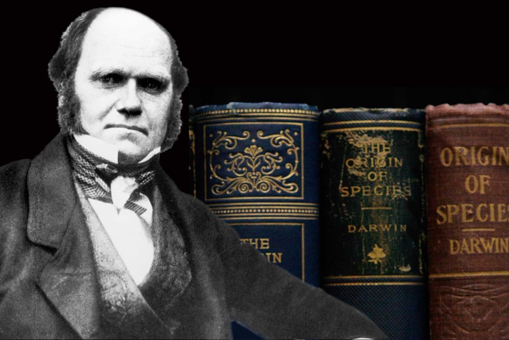 Græsk filosof udtænke sin egen evolutionsteori | Historienet.dk