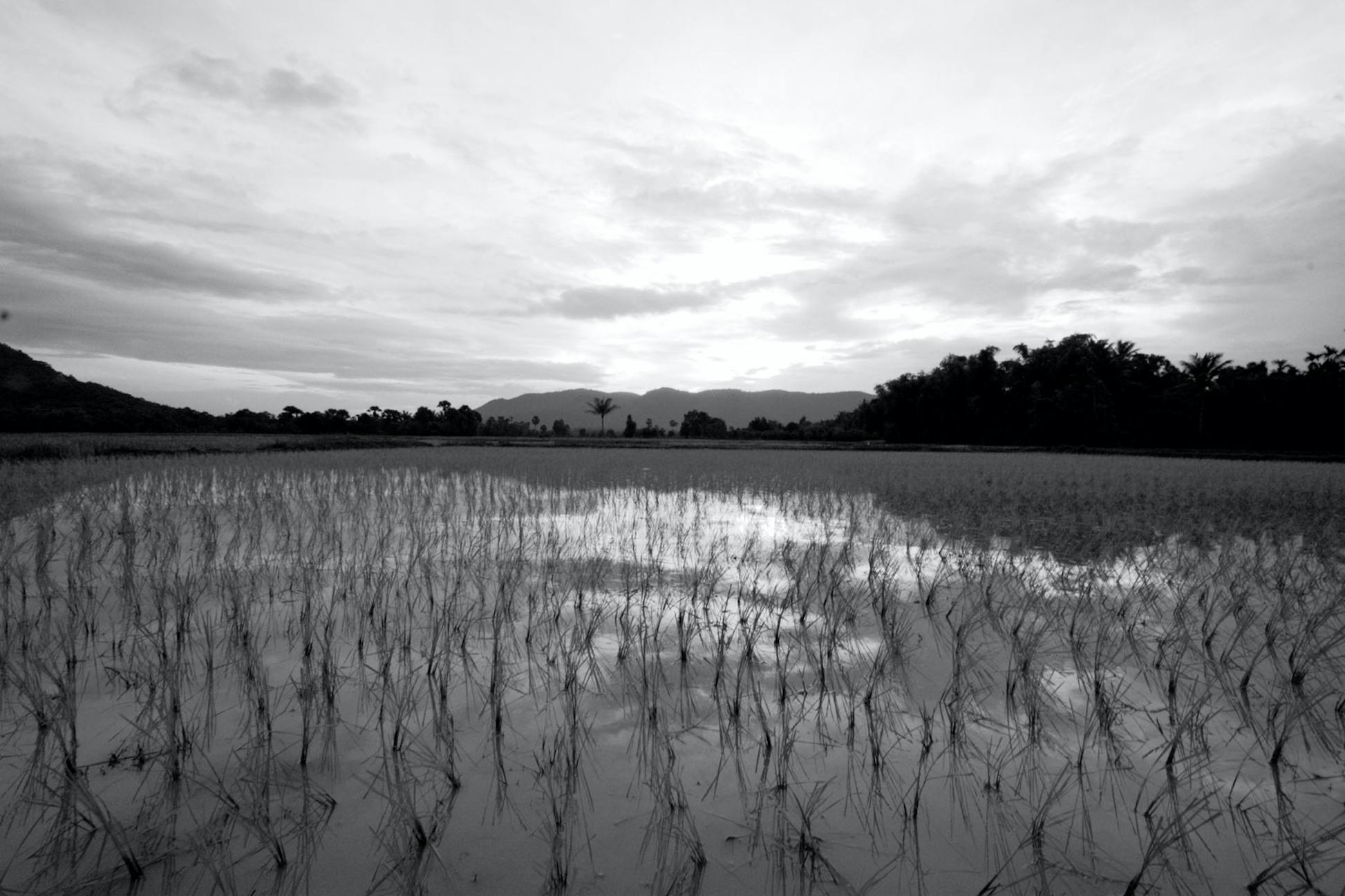 Pol Pot: Den gåtfulla massmördaren | varldenshistoria.se