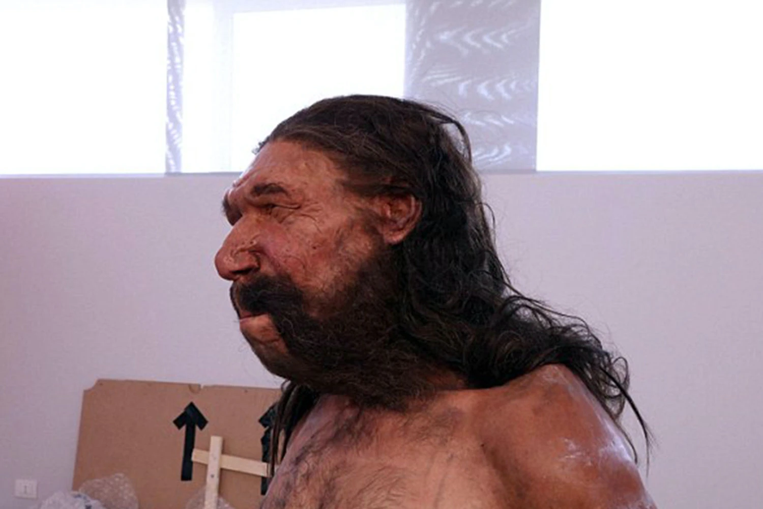 Neanderthaler tot leven gewekt | historianet.nl