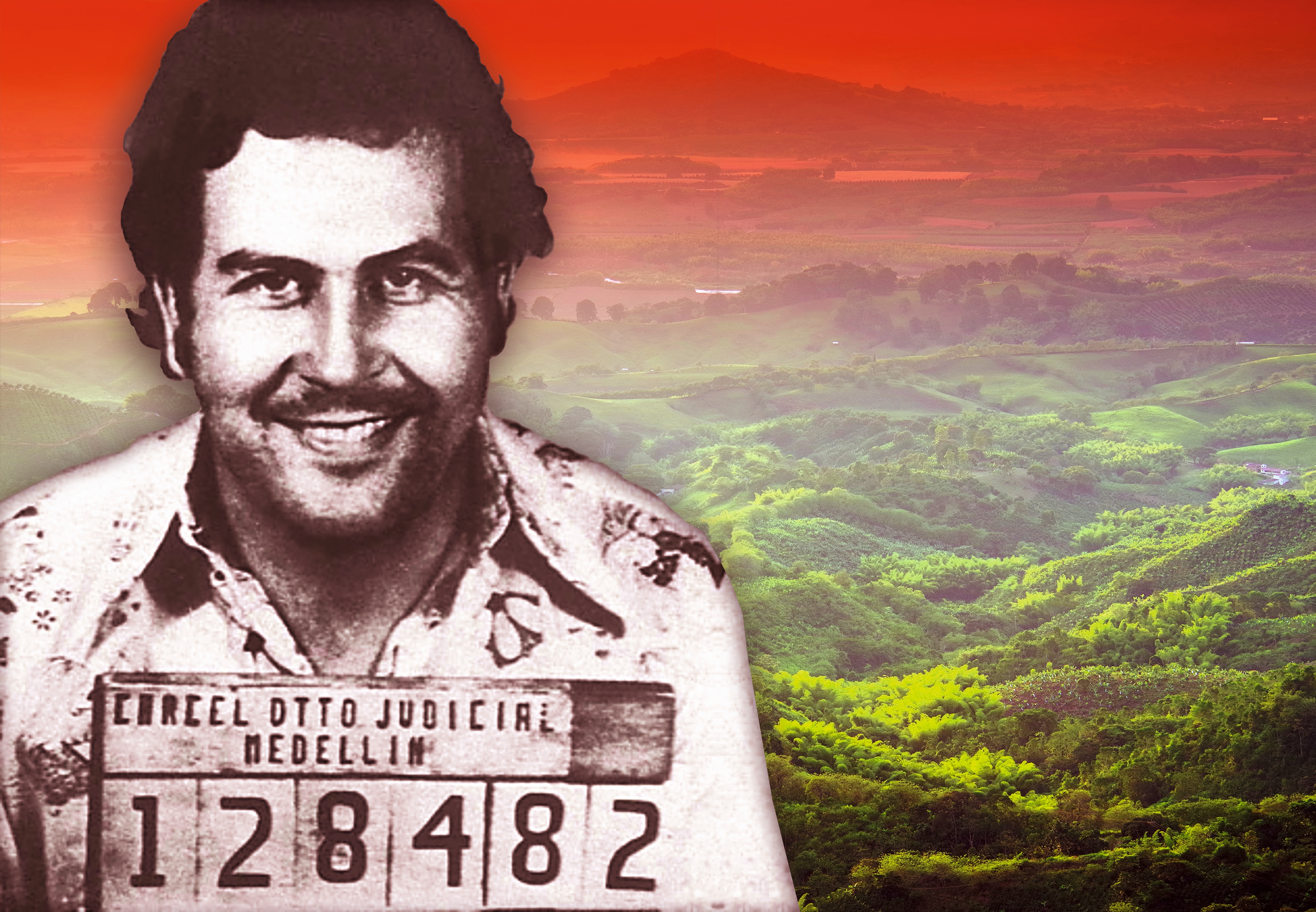 Pablo Escobars flodhästar skapar kaos i Colombia | varldenshistoria.se