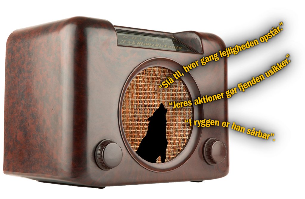 Himmlers varulve kæmpede til det sidste | Historienet.dk