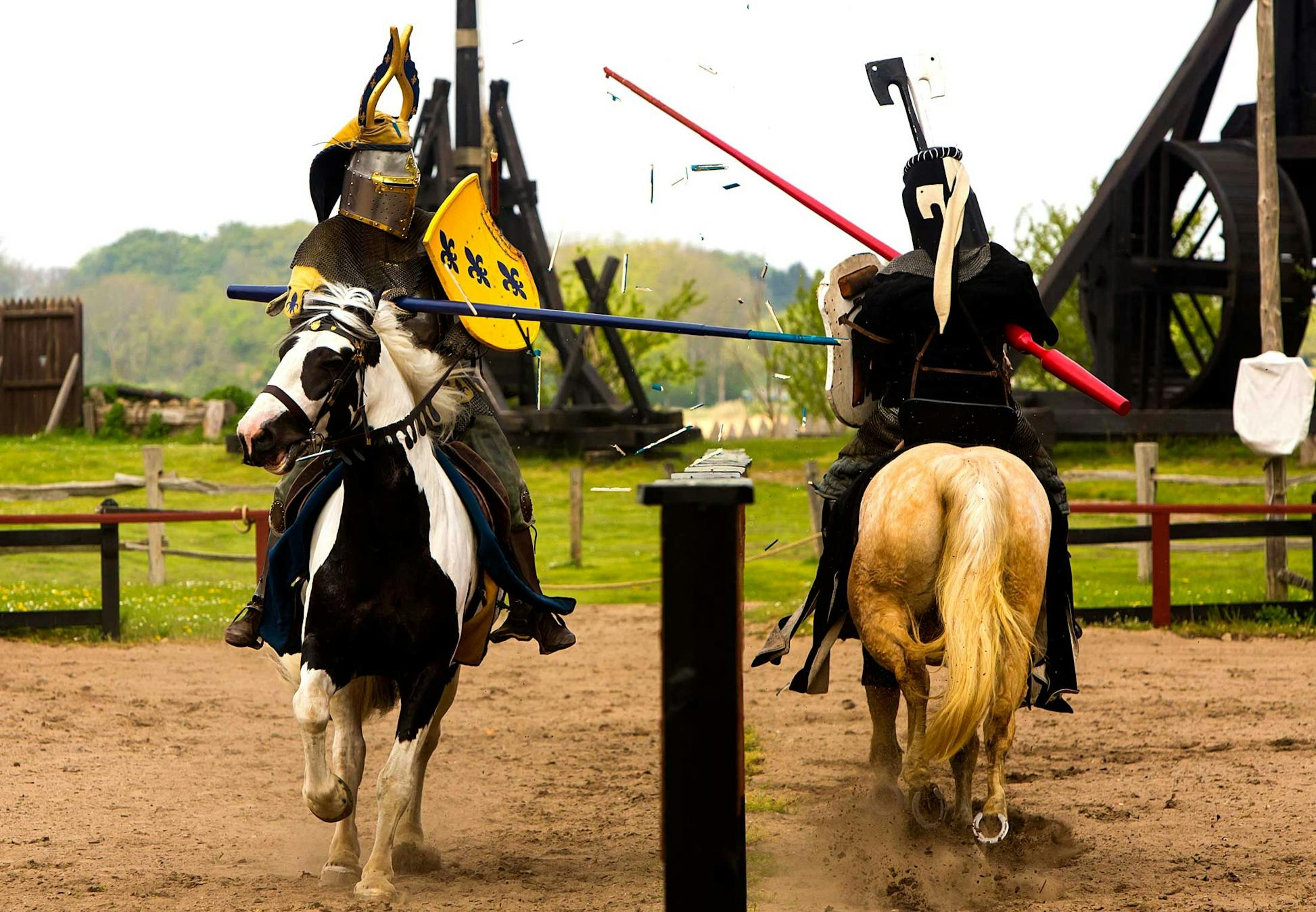 Hesten drev menneskehetens utvikling | Historienet.no