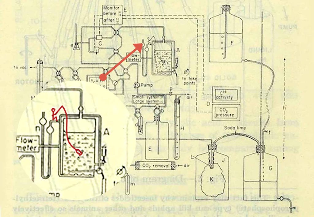 Historisk practical joke ramte nobelpristager | historienet.dk