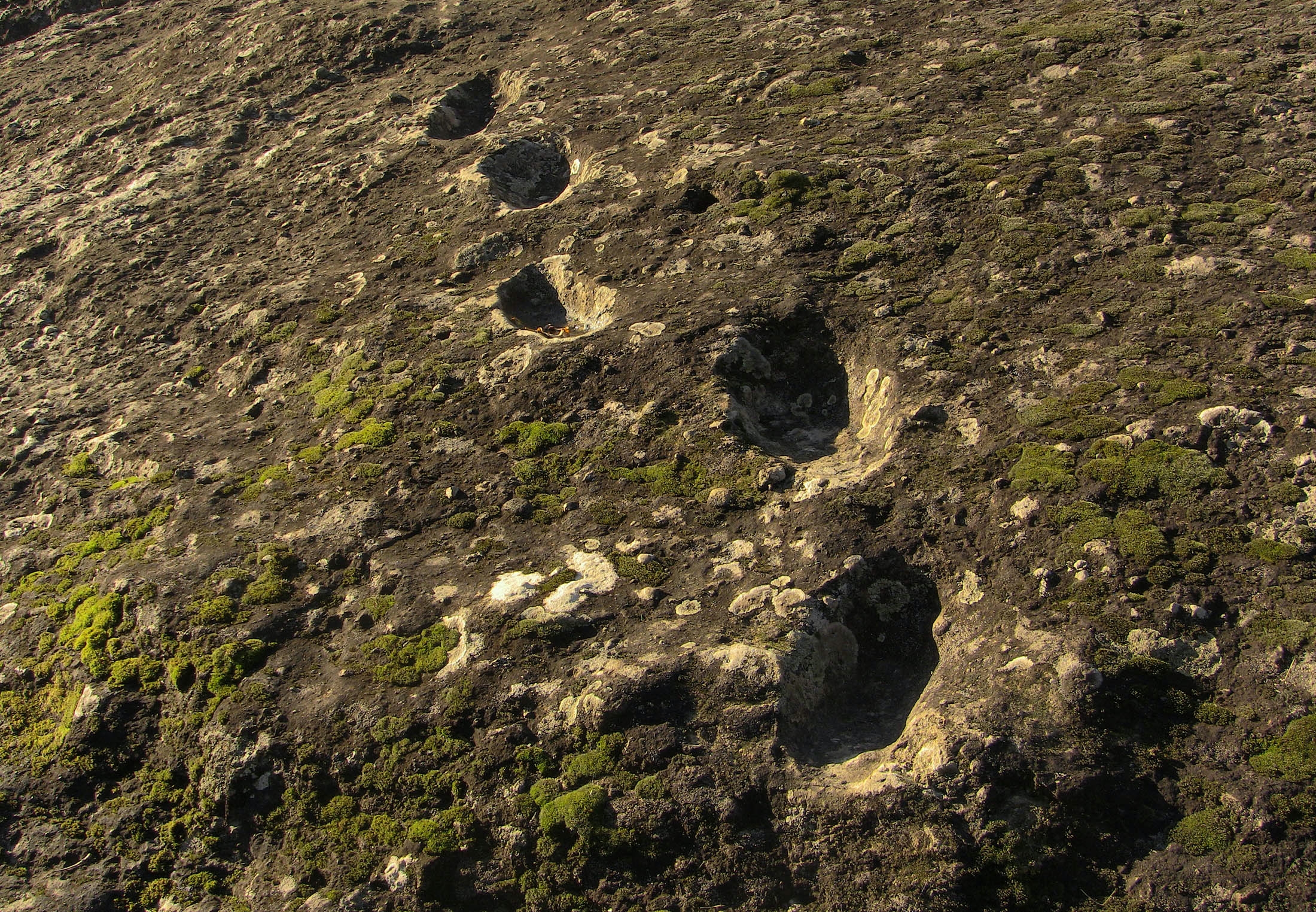Neandertalere vandret på aktiv vulkan | historienet.no