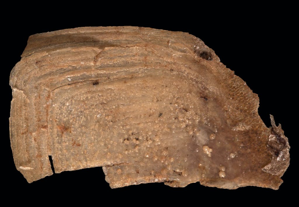 Indianerne byggede enorme fiskebassiner | historienet.dk