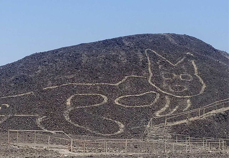 Geoglyf som forestiller en katt er funnet ved Perus Nazcalinjer ...