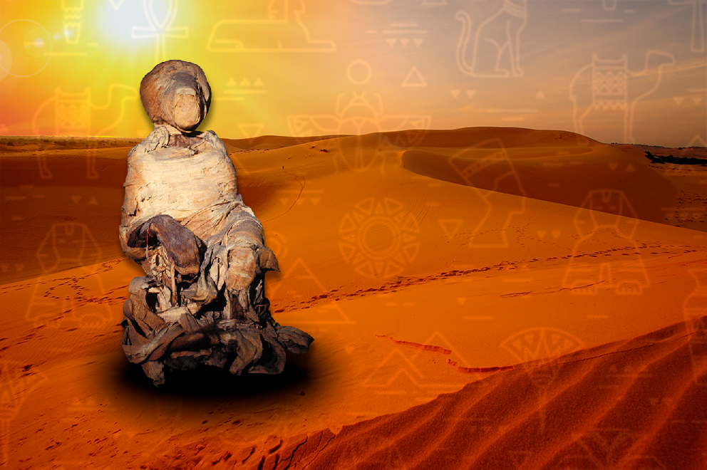 Koninkrijk Poent gevonden dankzij baviaanmummies | historianet.nl