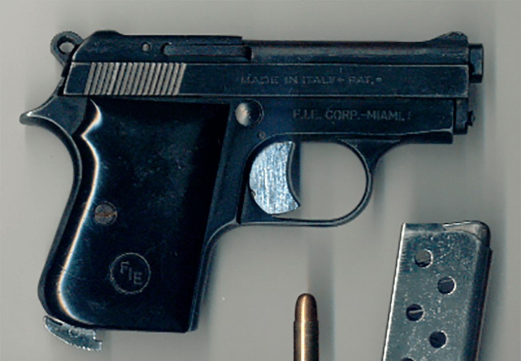 Southside Slayer: Seriemorder slagtede løs | historienet.dk