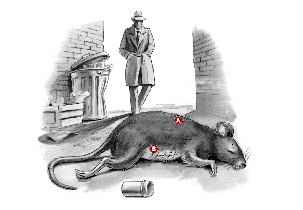 De coolste spionagegadgets uit de geschiedenis | Historianet.nl