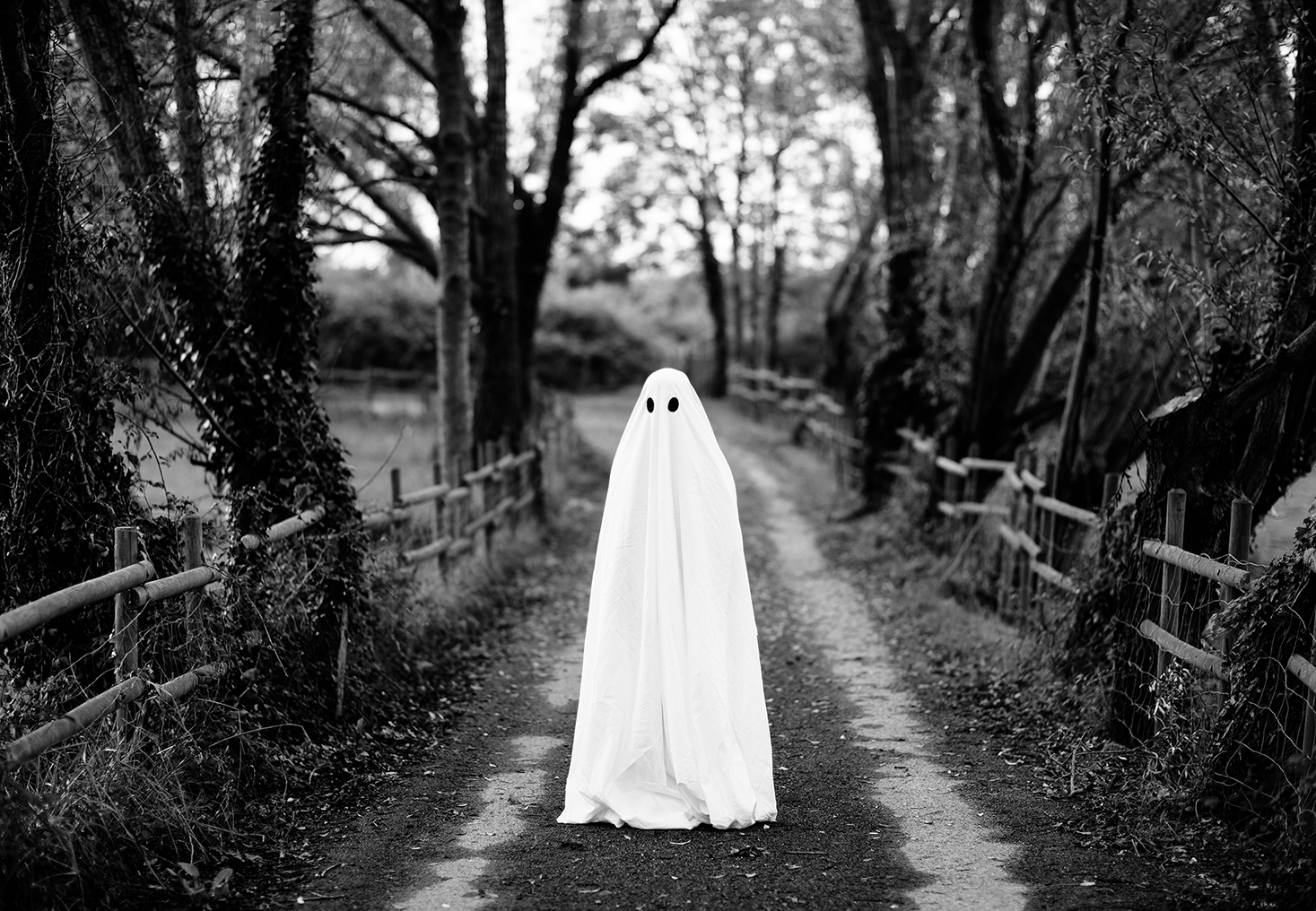 Halloween | Näin vuoden pelottavin perinne syntyi | Historianet.fi