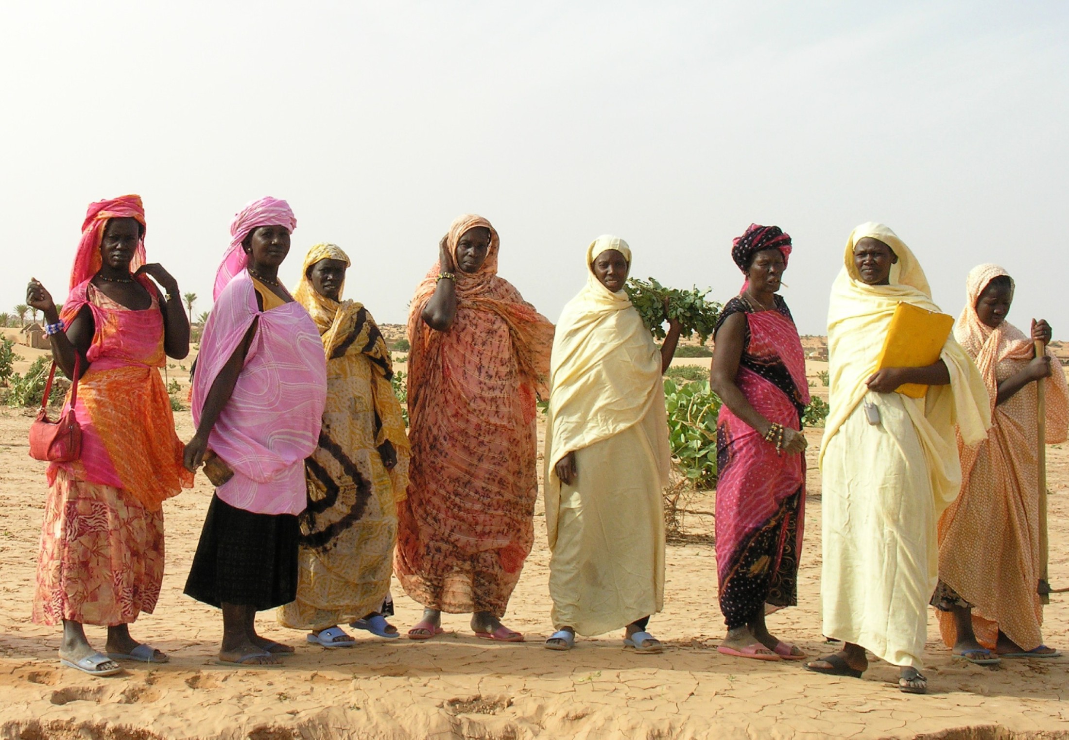 Mauretanien afskaffede først slaveriet i 1981 | Historienet.dk