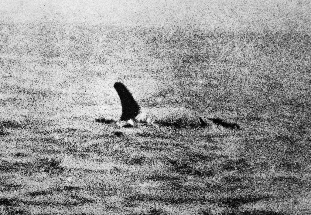 Het raadsel van het monster van Loch Ness | Historianet.nl