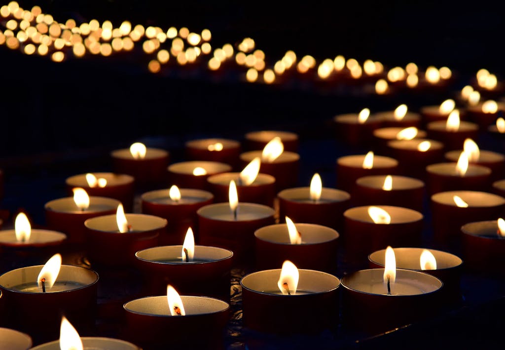 Auschwitz-Birkenau: De fabriek des doods van de nazi’s | Historianet.nl