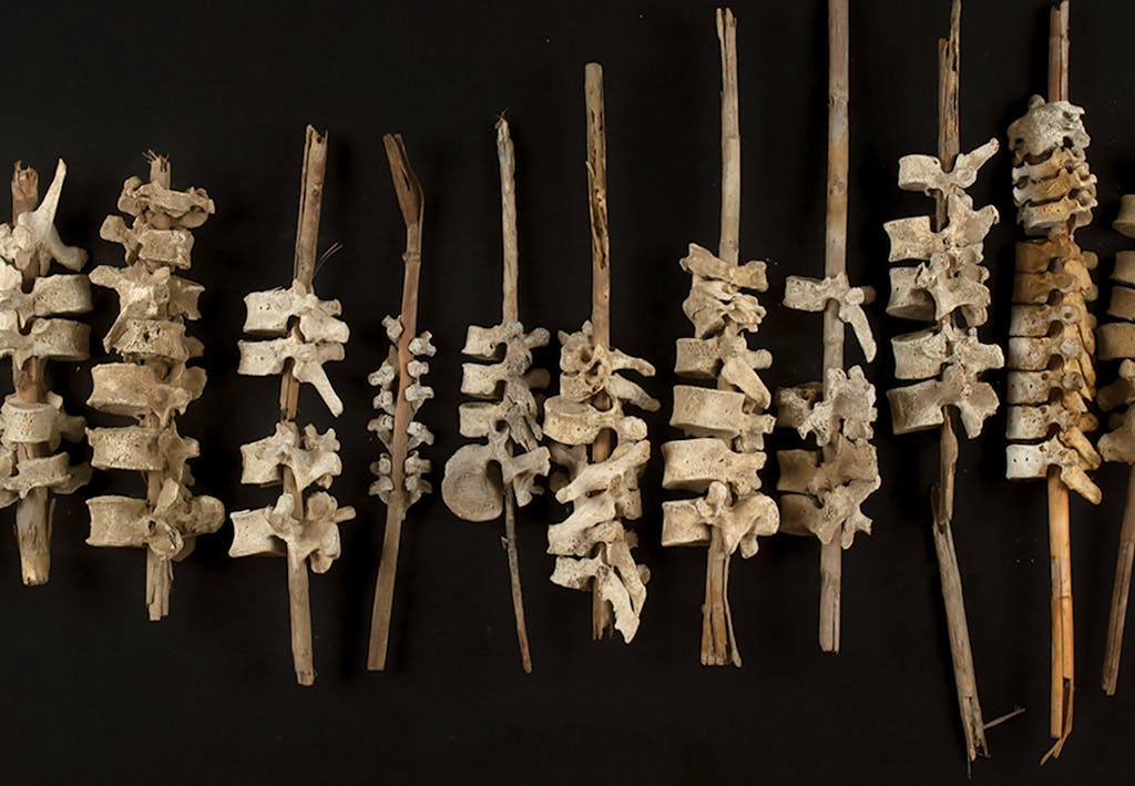 Amerikas historia | varldenshistoria.se