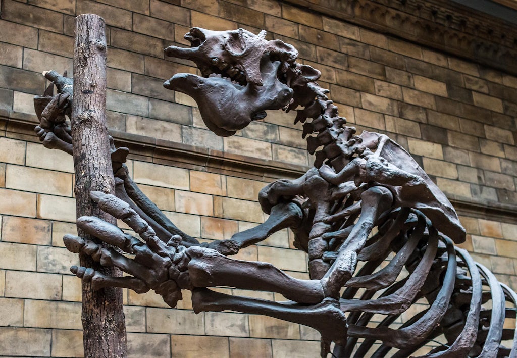 Hur många människor dog under digerdöden? | Varldenshistoria.se