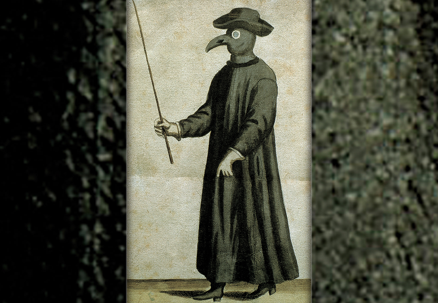Pesten | Slik herjet svartedauden i Europa | Historienet.no