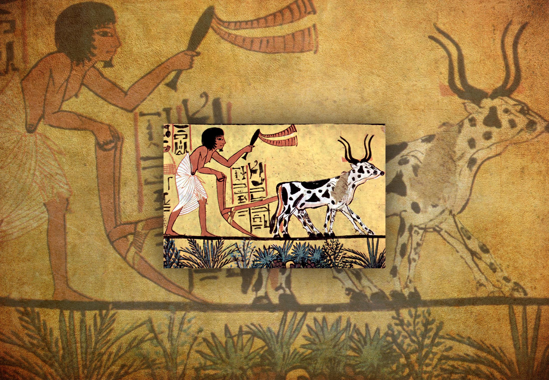 Forskere afkræfter myte om hvornår jægere blev bønder | historienet.dk