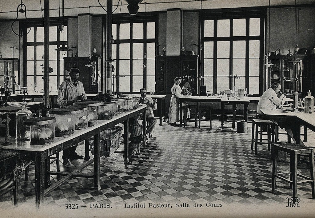 Pasteur | Zijn leven, zijn tijd en zijn ontdekkingen | Historianet.nl