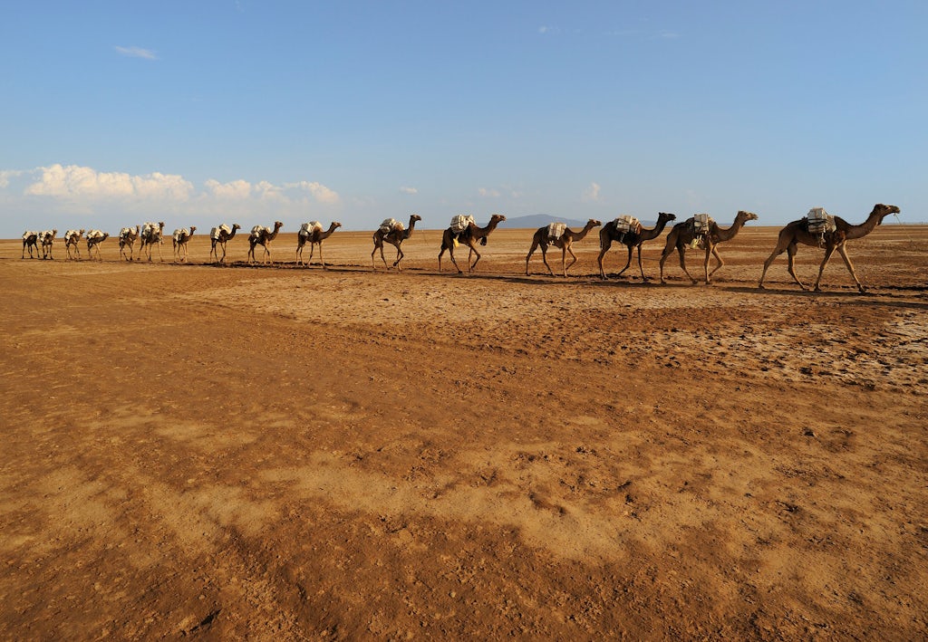 Hvordan fungerte trekanthandelen? | Historienet.no