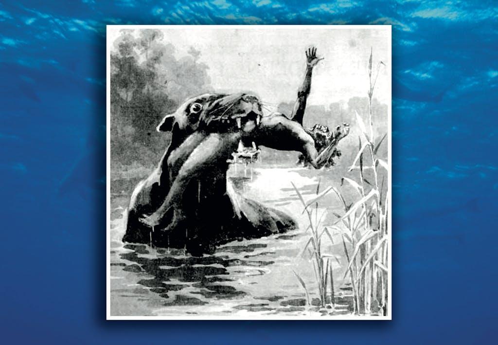 Historiens vildeste fabeldyr | Historienet.dk