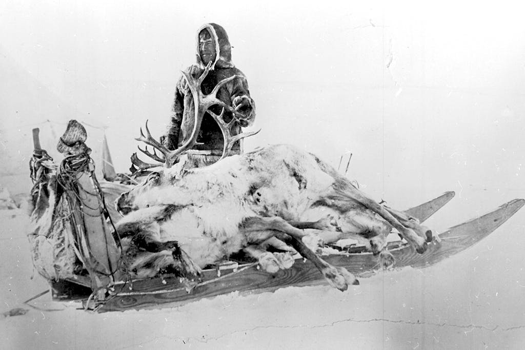 18 000 kilometriä koiravaljakolla: Knud Rasmussen löi ennätykset ...