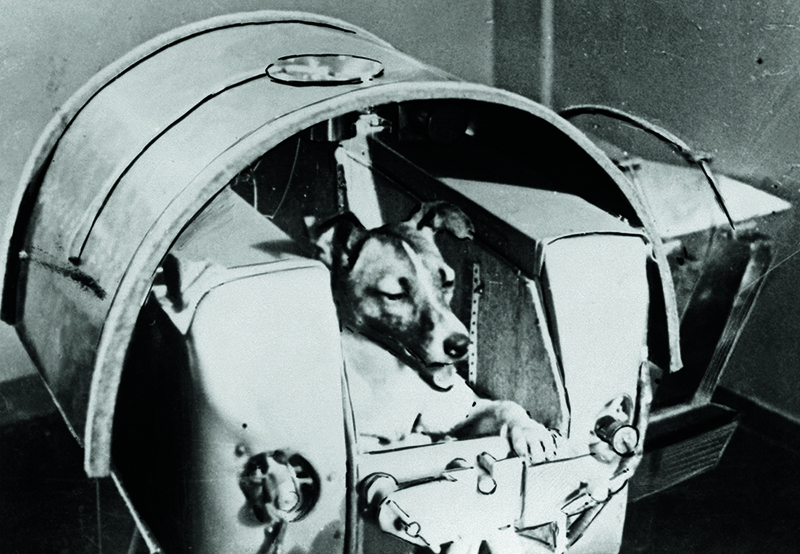 Ruimtewedloop | Wie bereikt de maan het eerst? | historianet.nl