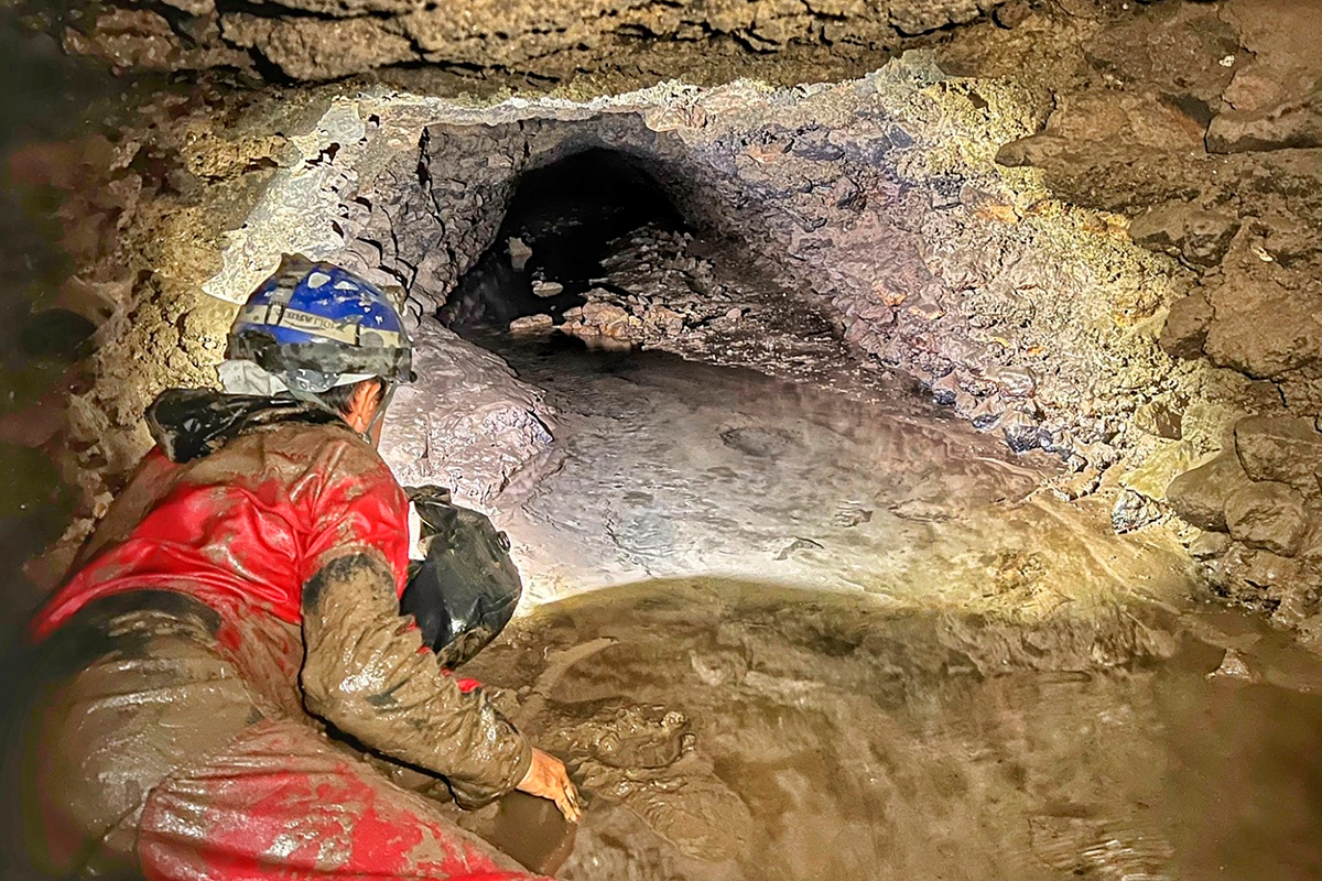 Romarna åt nyttiga snacks i Colosseum | varldenshistoria.se
