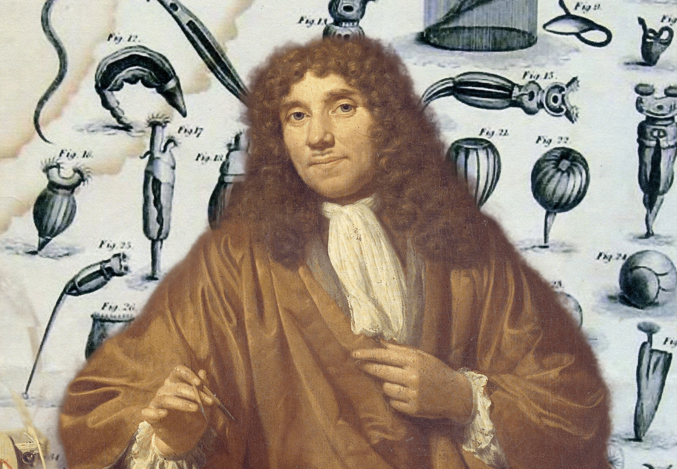 Wie Ontdekte De Bacteriën Historianet Nl