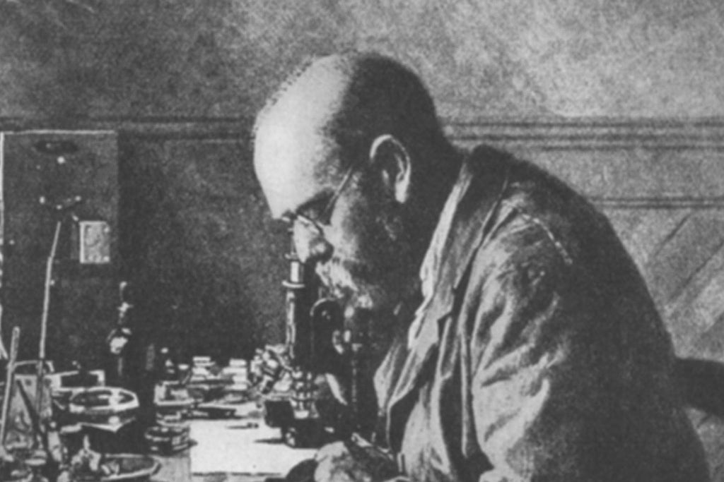 Antoni van Leeuwenhoek ontdekte de bacteriën | Historianet.nl