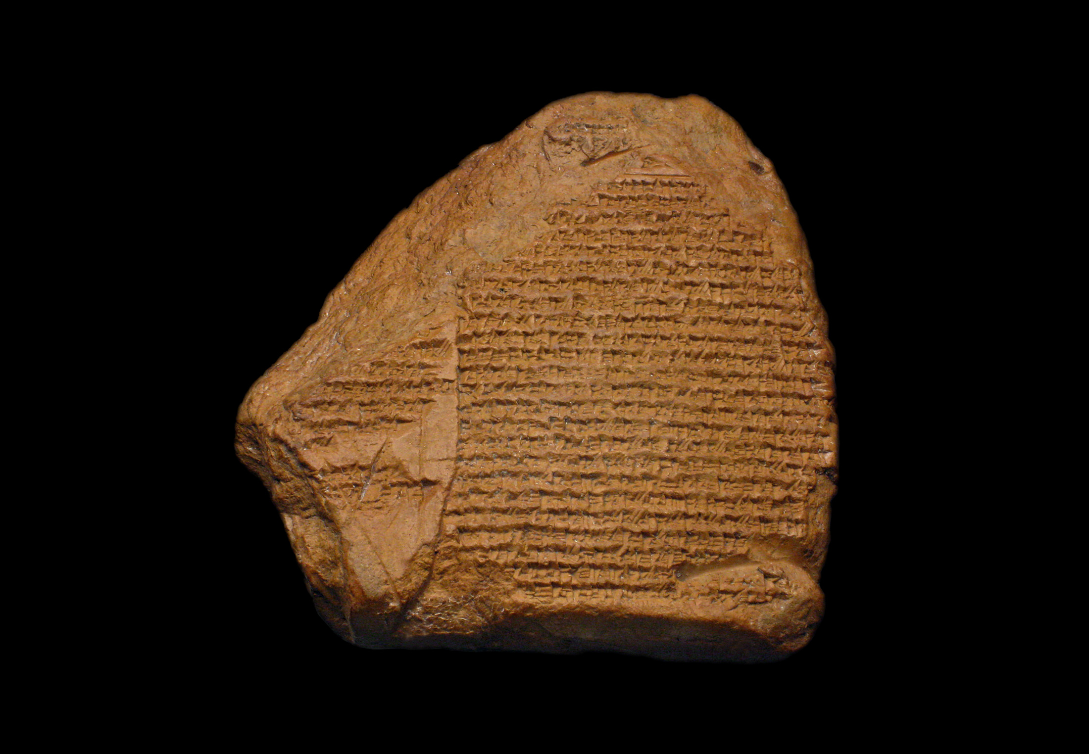 Archeologische geslachtsverandering: Vikingkrijgers waren mogelijk ...