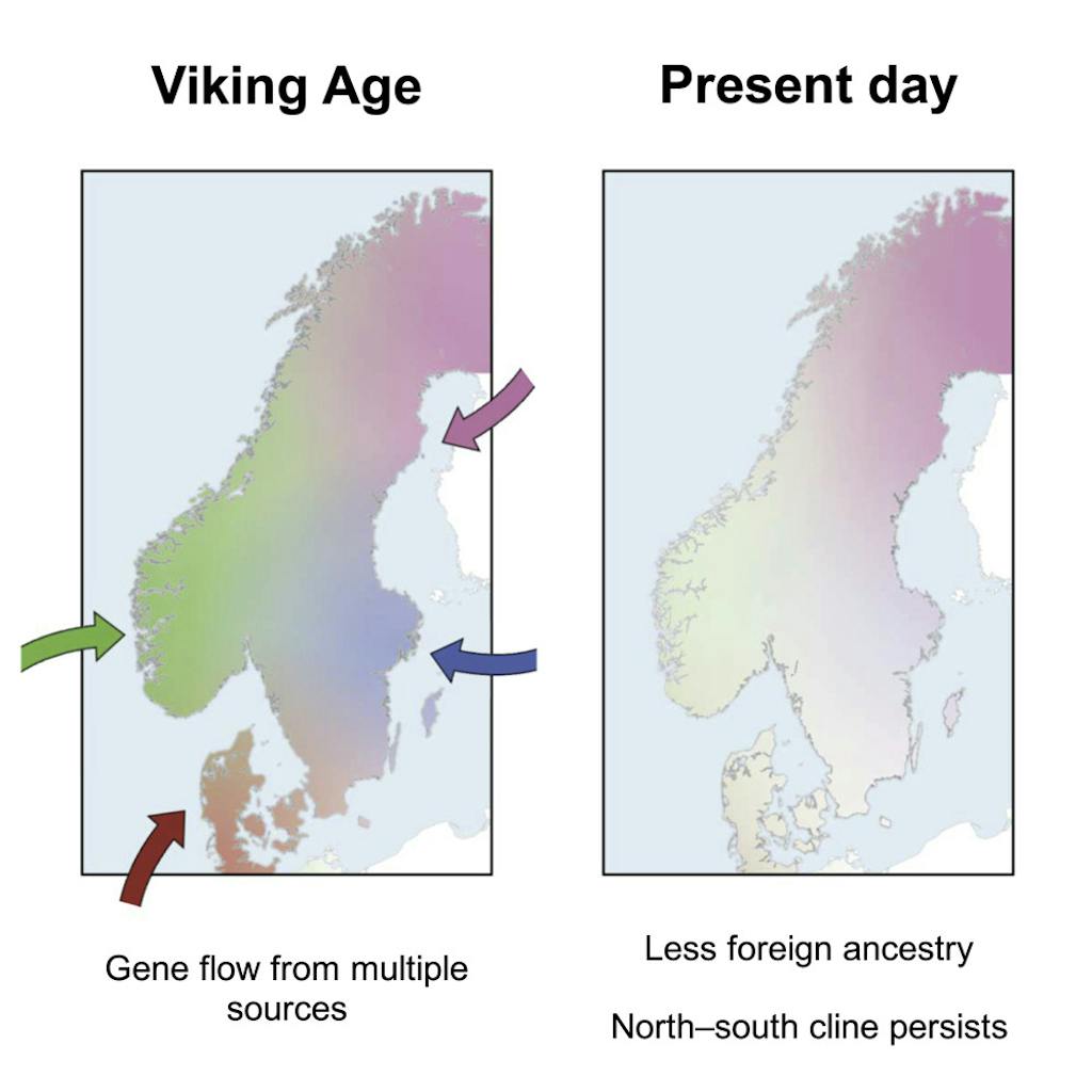 Migranten stroomden het Vikingrijk binnen | historianet.nl