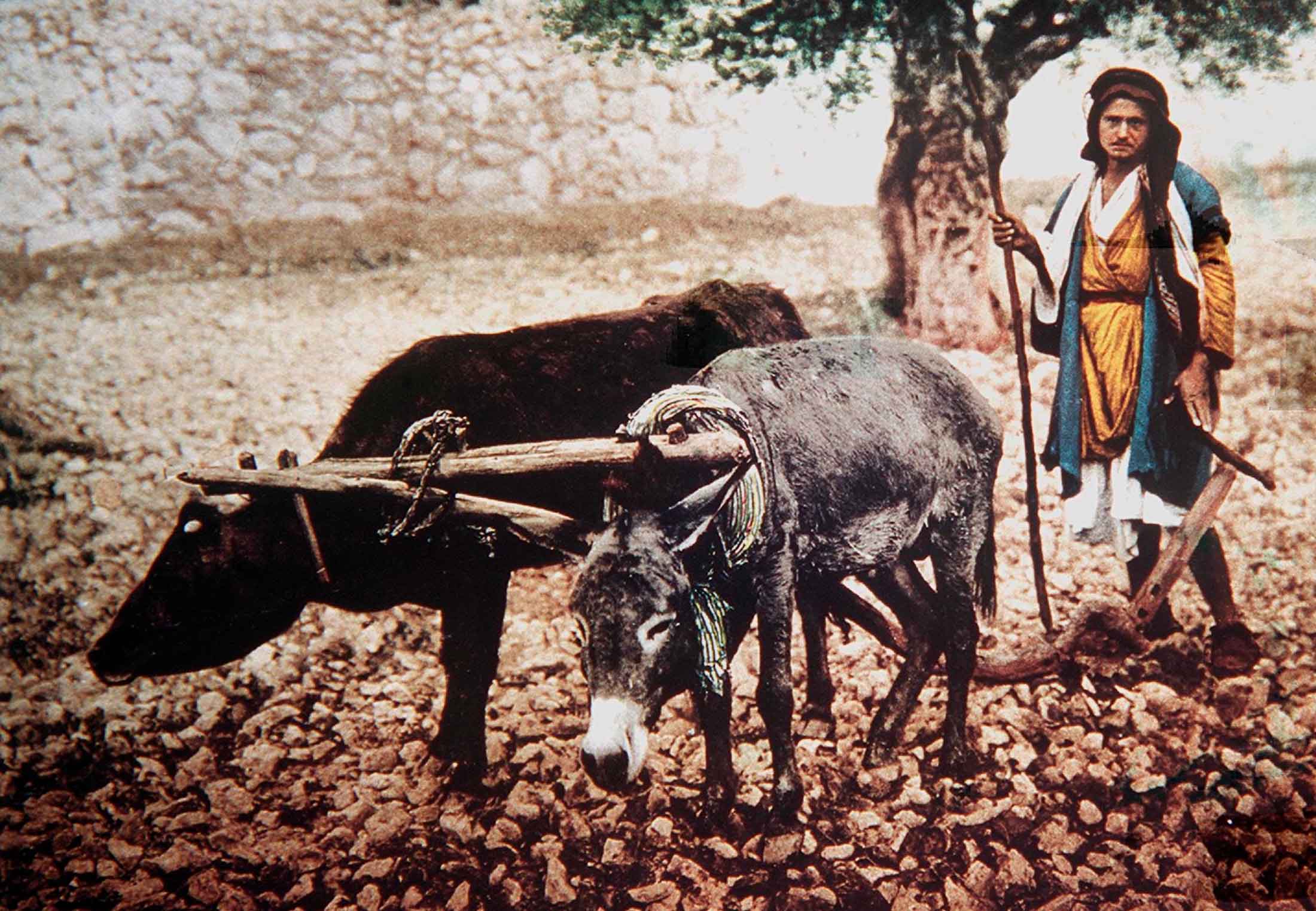 Ottomaanse Rijk: Van supermacht tot zorgenkind | historianet.nl