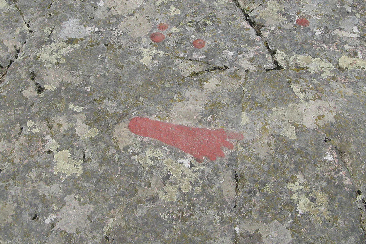 Scandinavische rotstekeningen – Wat betekenen ze? En waarom zijn ze ...